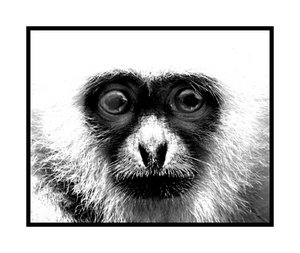 Country Metaphors – Country Universe